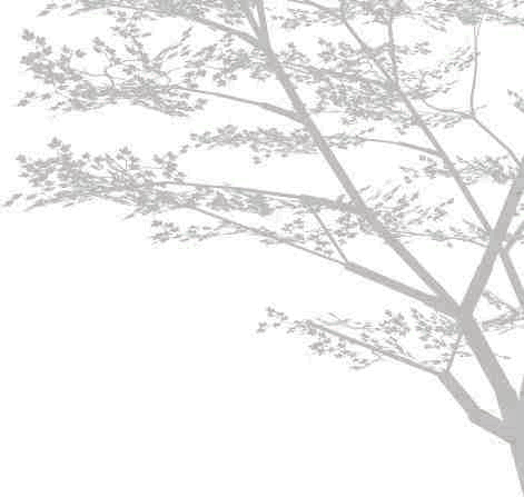 The guests house - Le Mas de Barbut